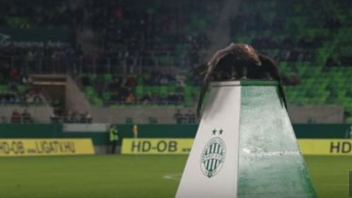 Először repült nyilvánosan a Fradi Sas