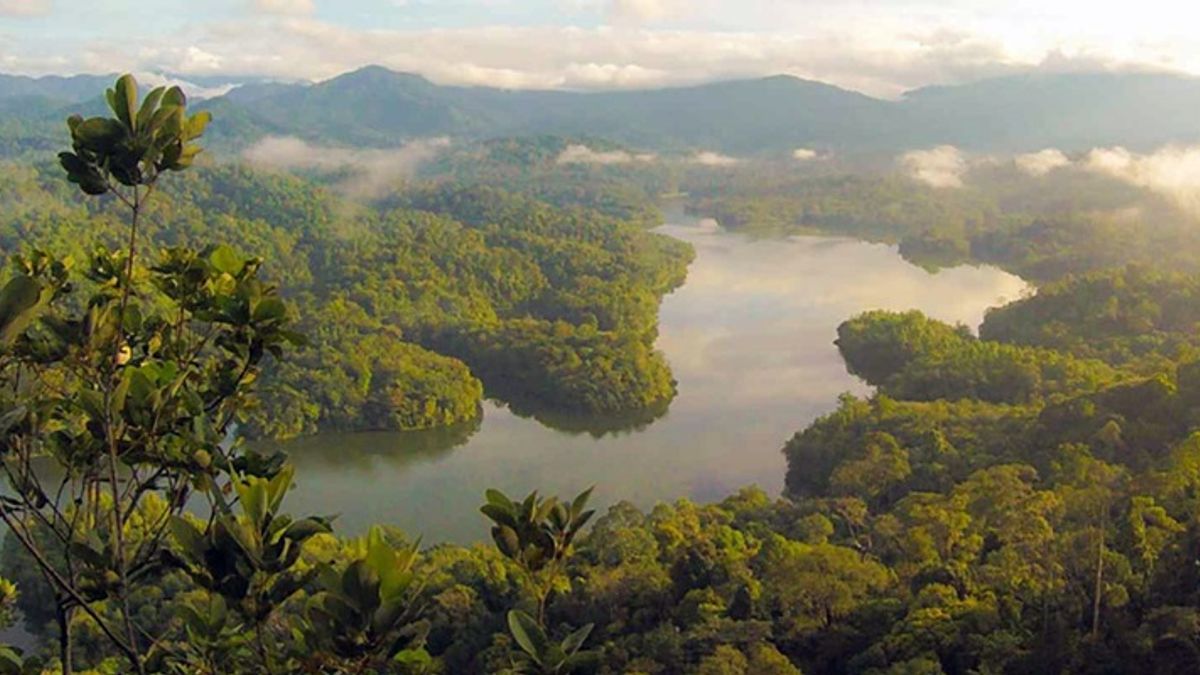 Amazonas-szakértő: Nem a Föld tüdeje az égő esőerdő