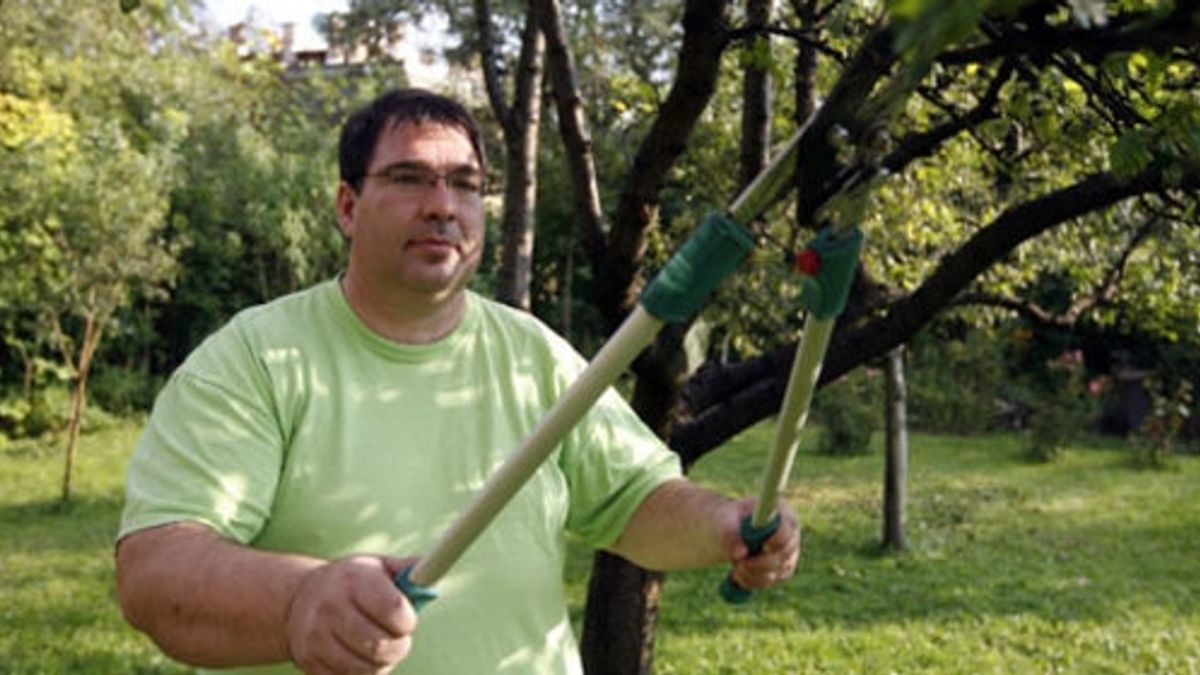 Visszament kertésznek Pettkó András