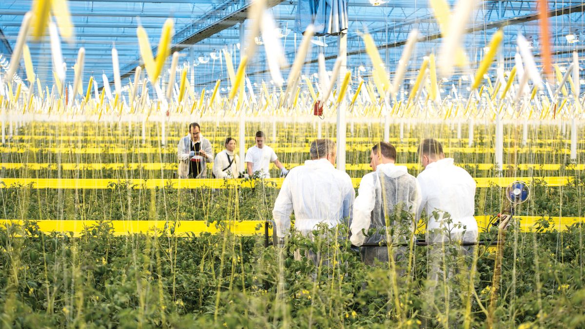 Nem akartam világpolgárrá válni