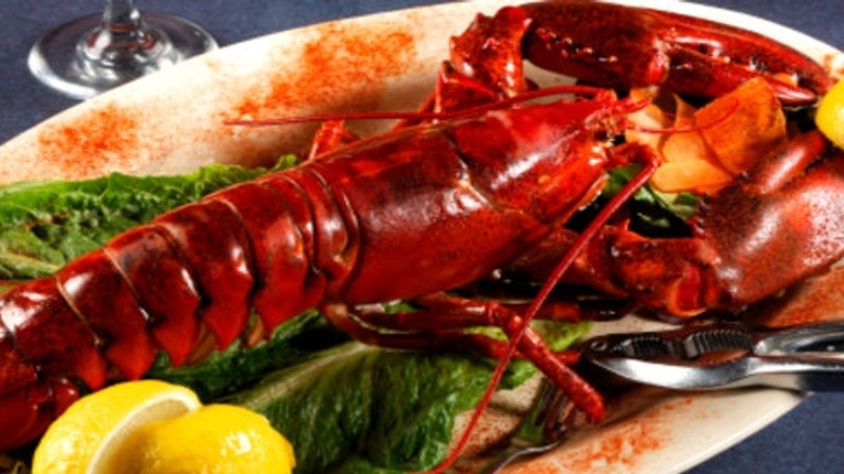 Amnesztiát kapott egy homár - Mandiner