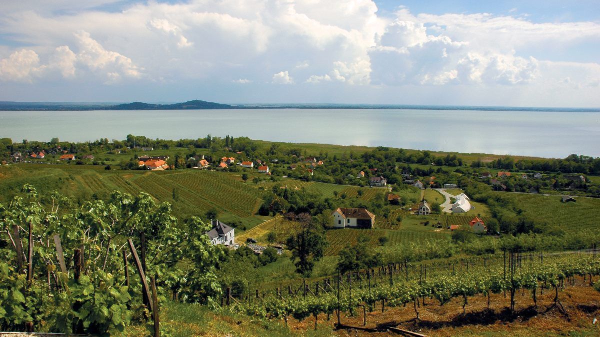 Balaton 21.0