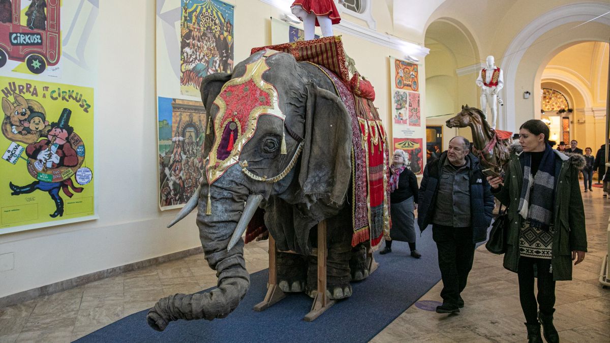 Manézson innen és túl