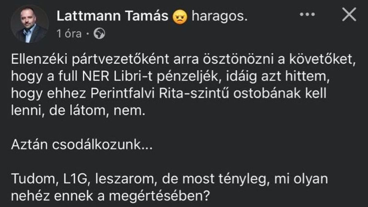 Lattman Tamás szerint „ostoba” vagyok!