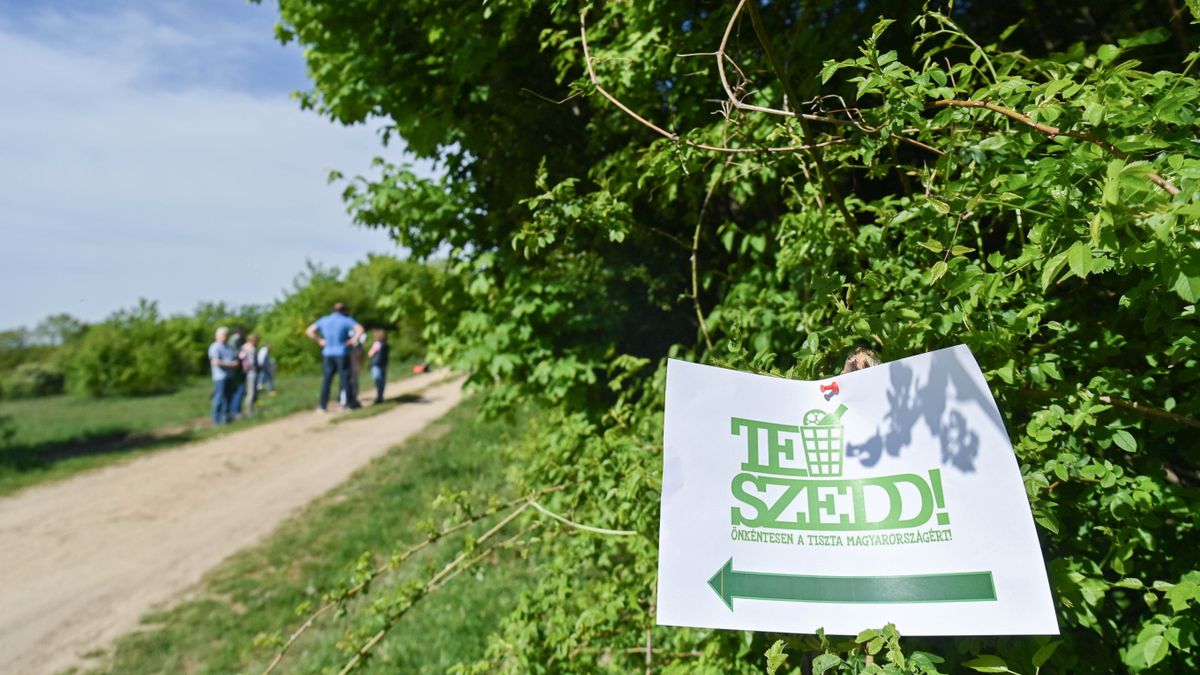 TeSzedd! program idén is