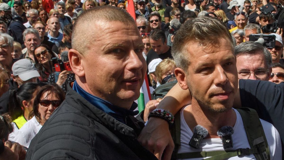 Piszkos Fred közbelép – Romulusz őszinte sajnálatára